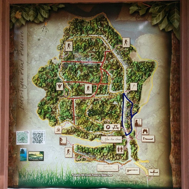 Betz Tiger Point Preserve, 14099 Pumpkin Hill Rd, Jacksonville, FL ...