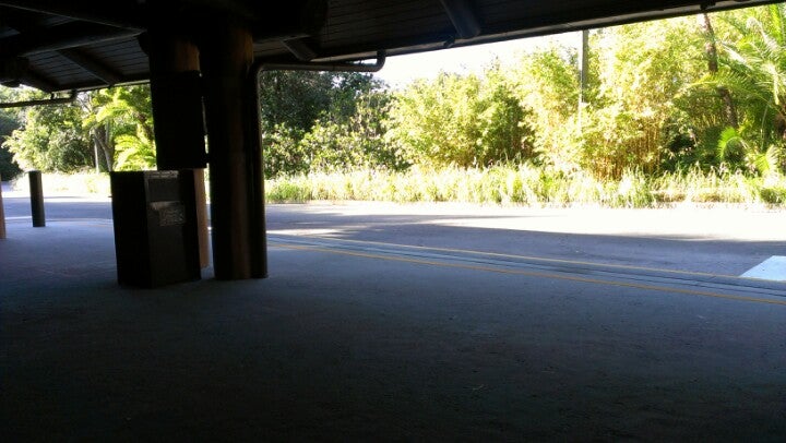 Jambo House Bus Stop, Lake Buena Vista, FL, Bus Lines - MapQuest