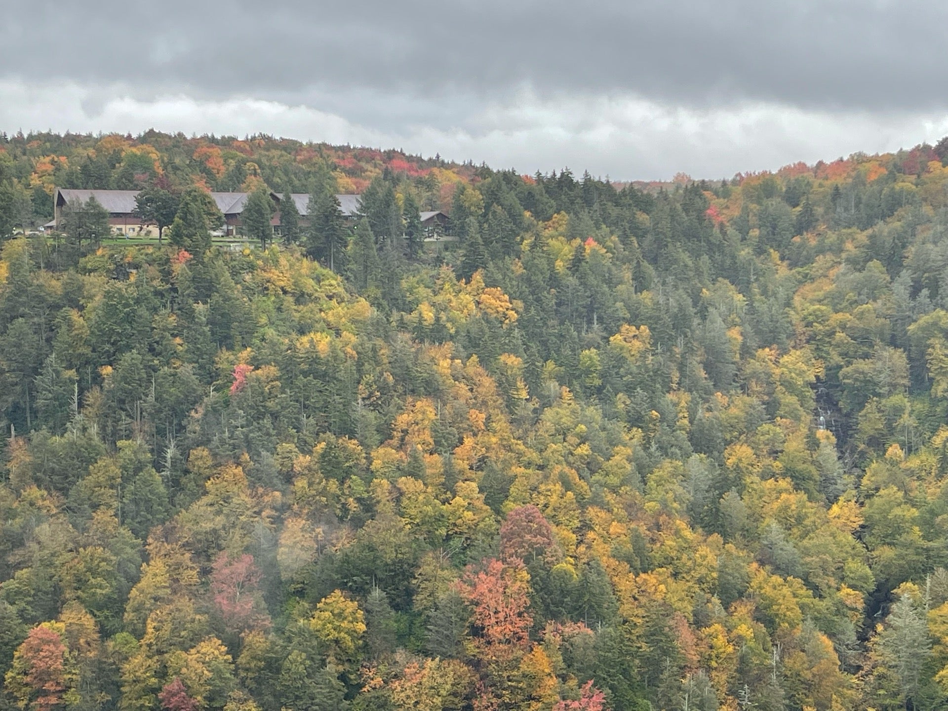 Pendleton Point Overlook, Blackwater Falls Rd, Davis, WV - MapQuest