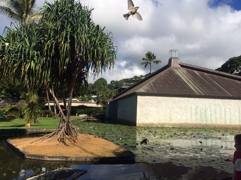 Thurston Memorial Chapel 1601 Punahou St Honolulu, HI Church ...