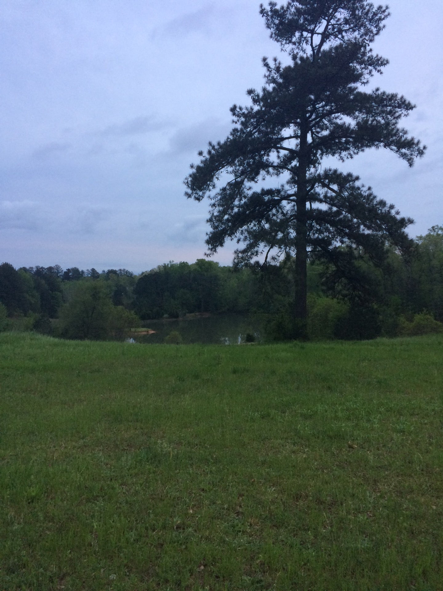 Cottondale, AL Map & Directions - MapQuest