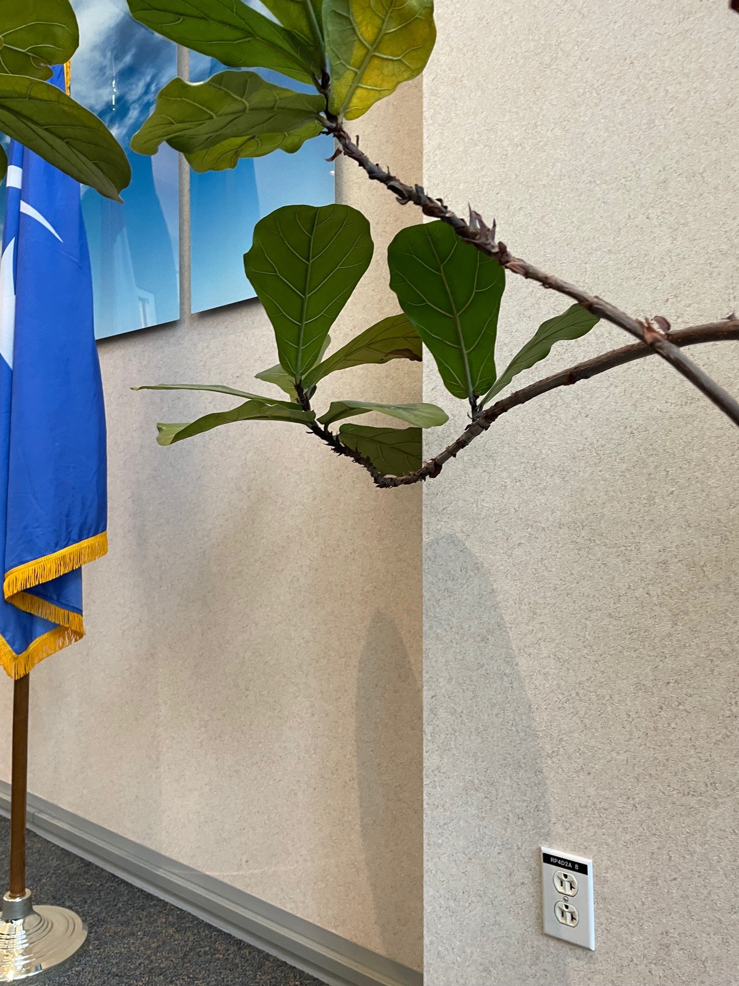 Boeing Building 101, 6300 James S McDonnell Blvd, Berkeley, MO ...