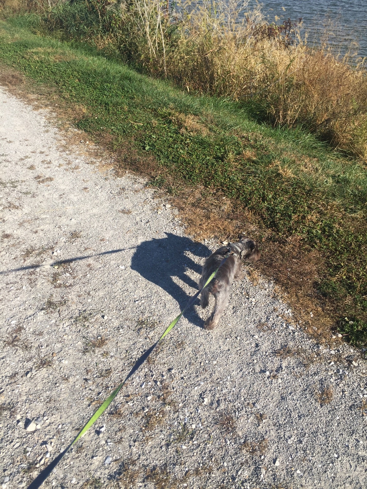 Perry Phillips Lake, Columbia, MO, Lake - MapQuest
