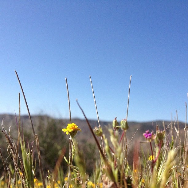 Rowher Flats Ohv Recreation Area, Texas Canyon Rd, Santa Clarita, CA ...
