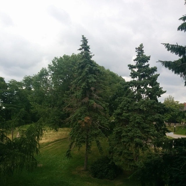 Thistle Complex, St Catharines, ON - MapQuest