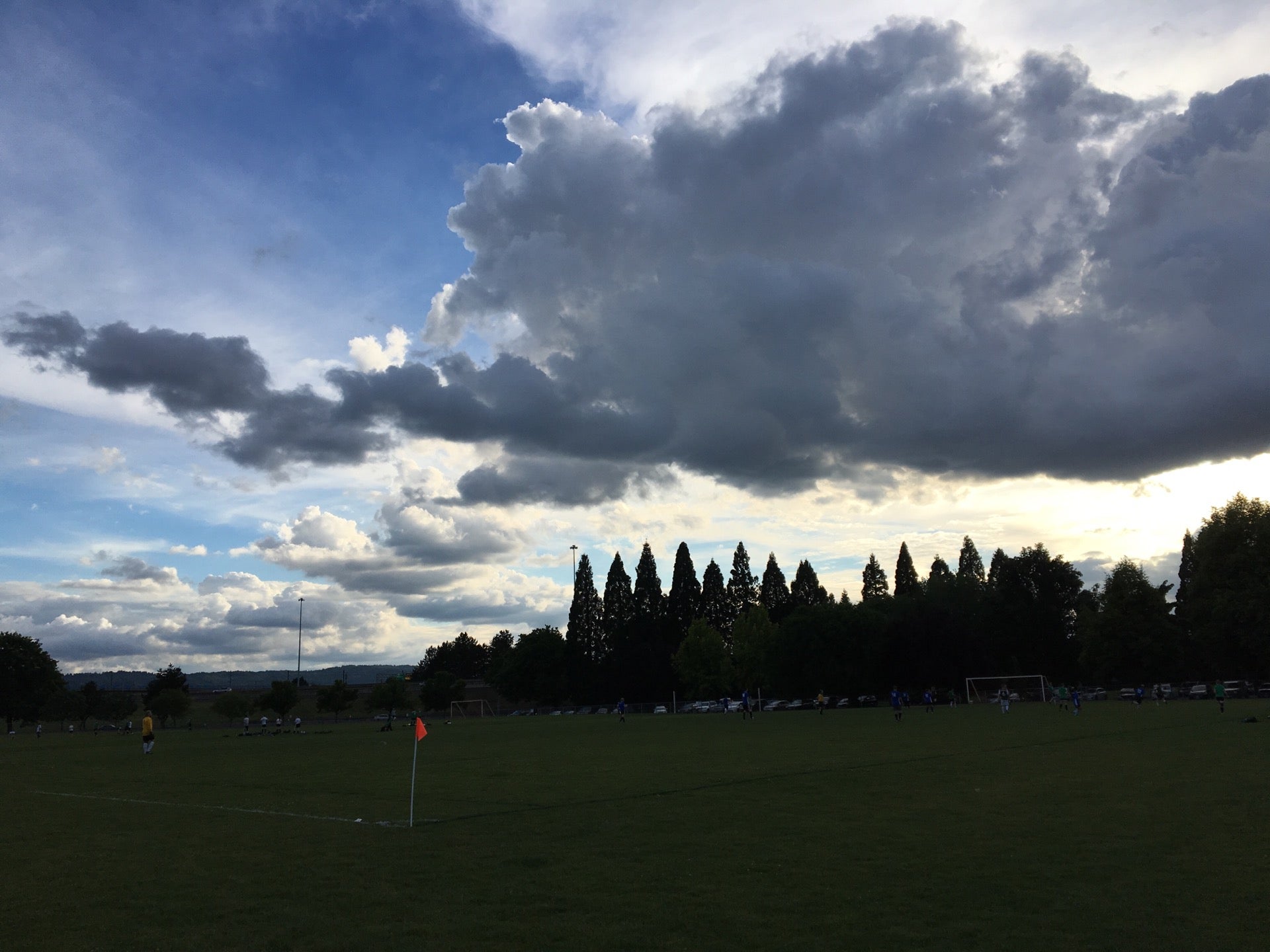 Are Dogs Allowed At The Delta Park Soccer Field