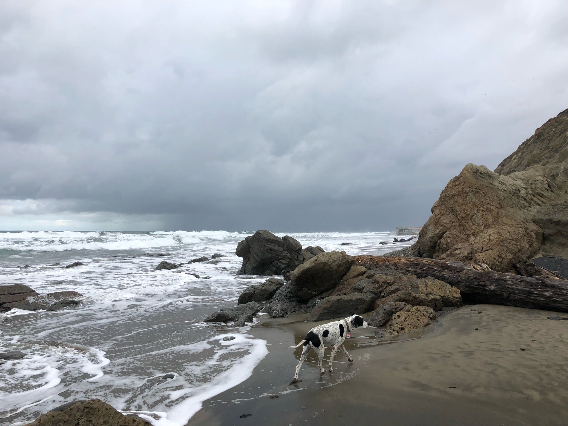Sand Ladder aka Funston Beach Trail, San Francisco, CA, Trail - MapQuest