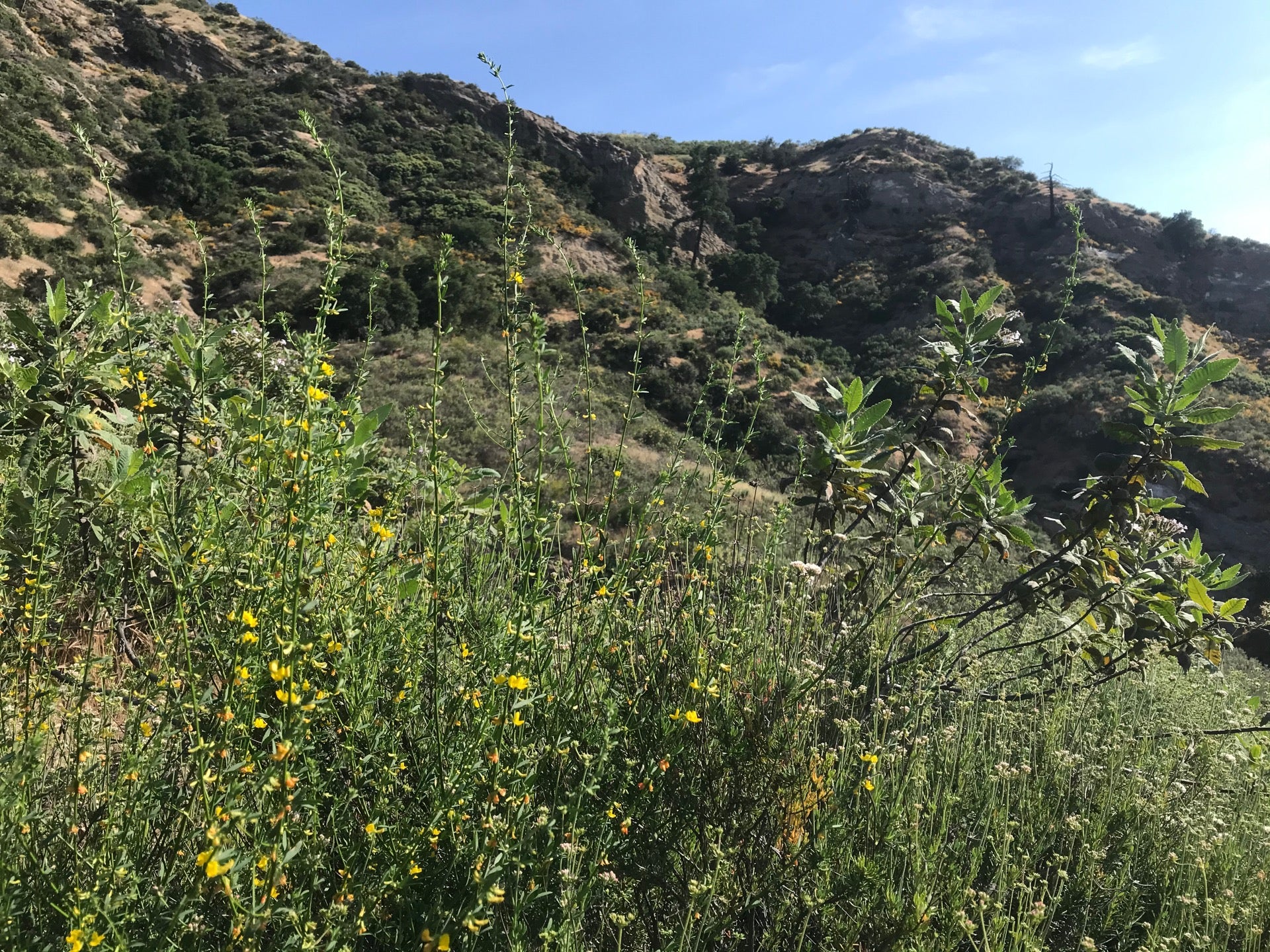 Elsmere Canyon Open Space, Sylmar, CA, Trail - MapQuest