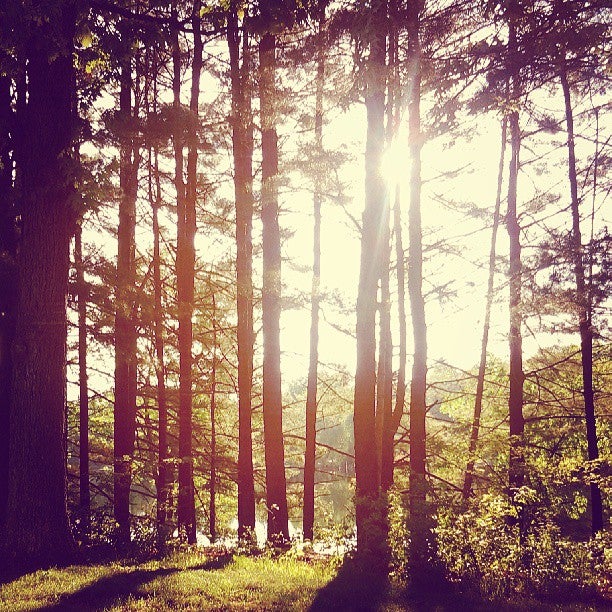 King, WI Map & Directions - MapQuest