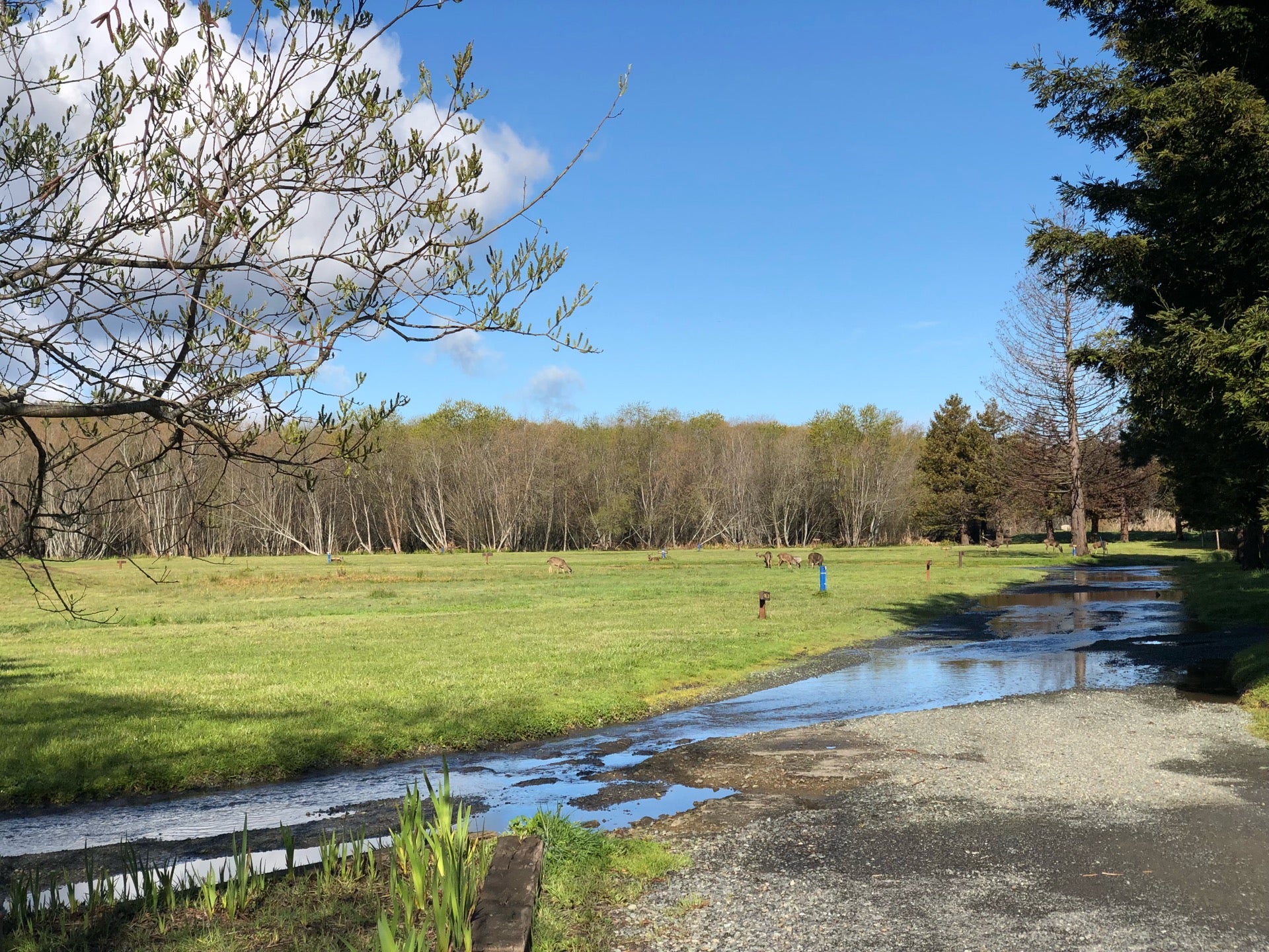 Olema Ranch Campground/RV Park, Olema, CA - MapQuest