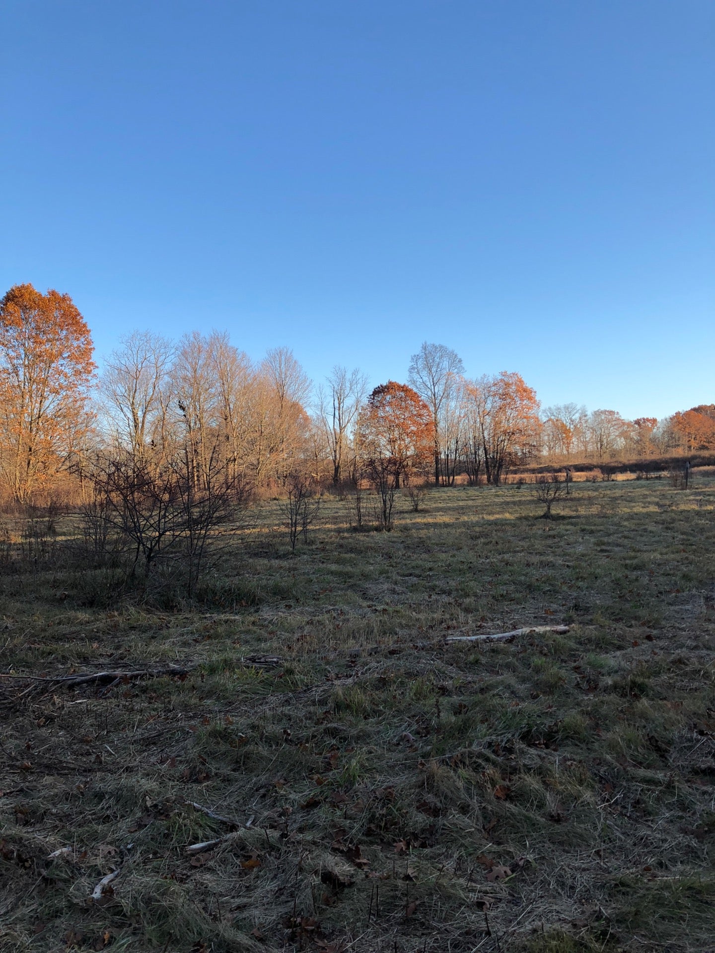 Madison, OH Map & Directions - MapQuest