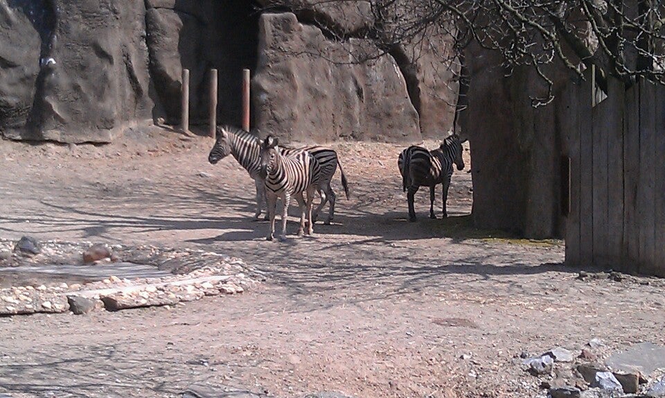 Zebra Exhibit, 3400 W Girard Ave, Philadelphia, PA - MapQuest