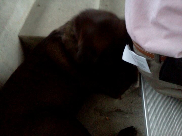 Pat Thomas Stadium - Home of the Leesburg Lightning, 240 Ball Park Rd ...