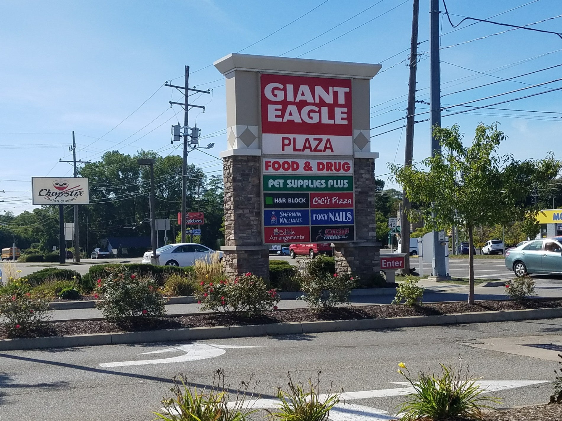 Giant Eagle Flowers Erie Pa | Best Flower Site