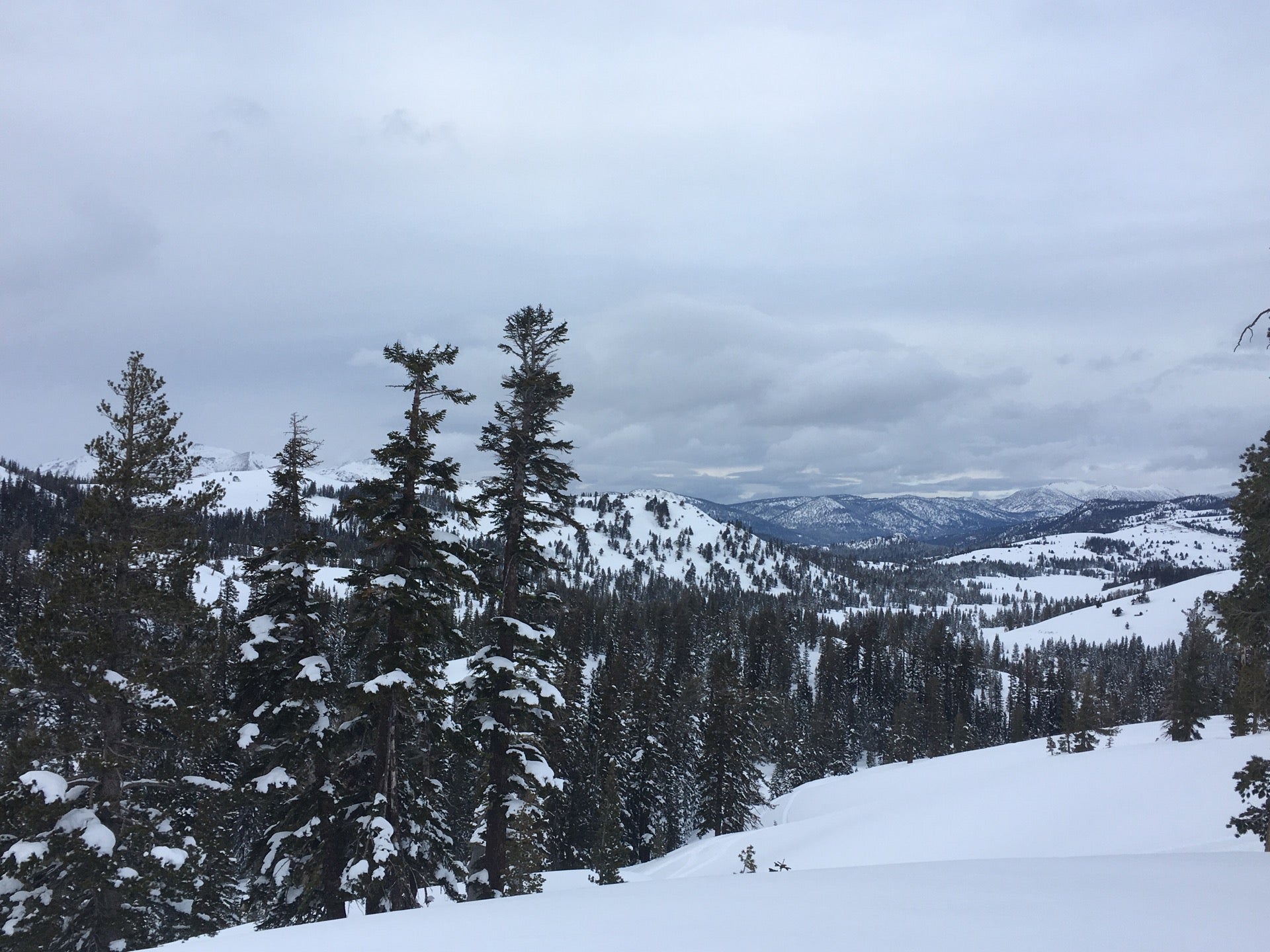 Kit Carson Pass, Markleeville, CA - MapQuest
