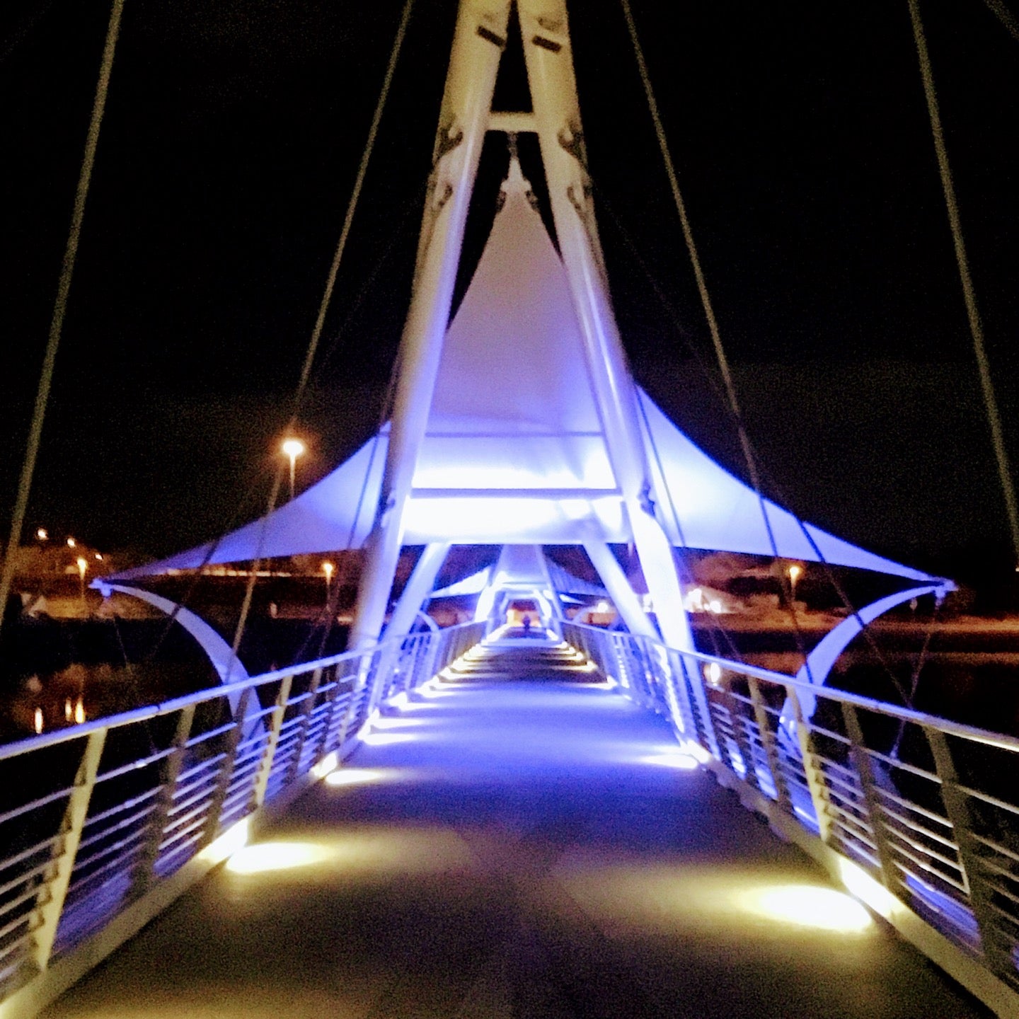 Elmore Pedestrian Bridge, 700 W Rio Salado Pkwy, Tempe, AZ, Bridge ...