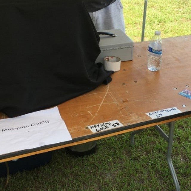 Reiter Park, 311 E Warren Ave, Longwood, Longwood, FL - MapQuest