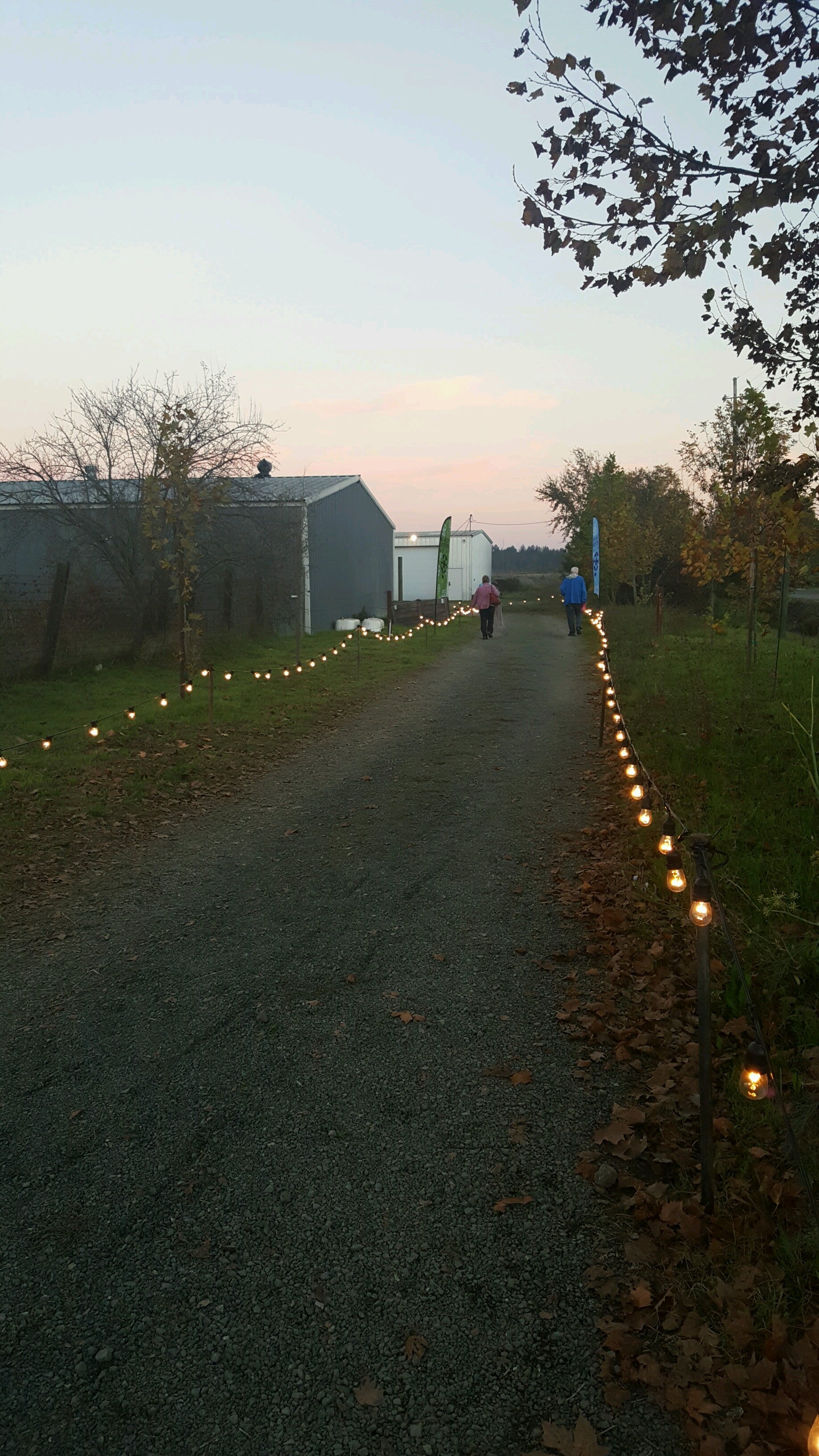 Calistoga Gliderport Labyrinth, 1539 Lincoln Ave, Calistoga, CA - MapQuest