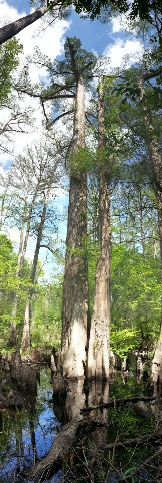 Warren, TX Map & Directions - MapQuest