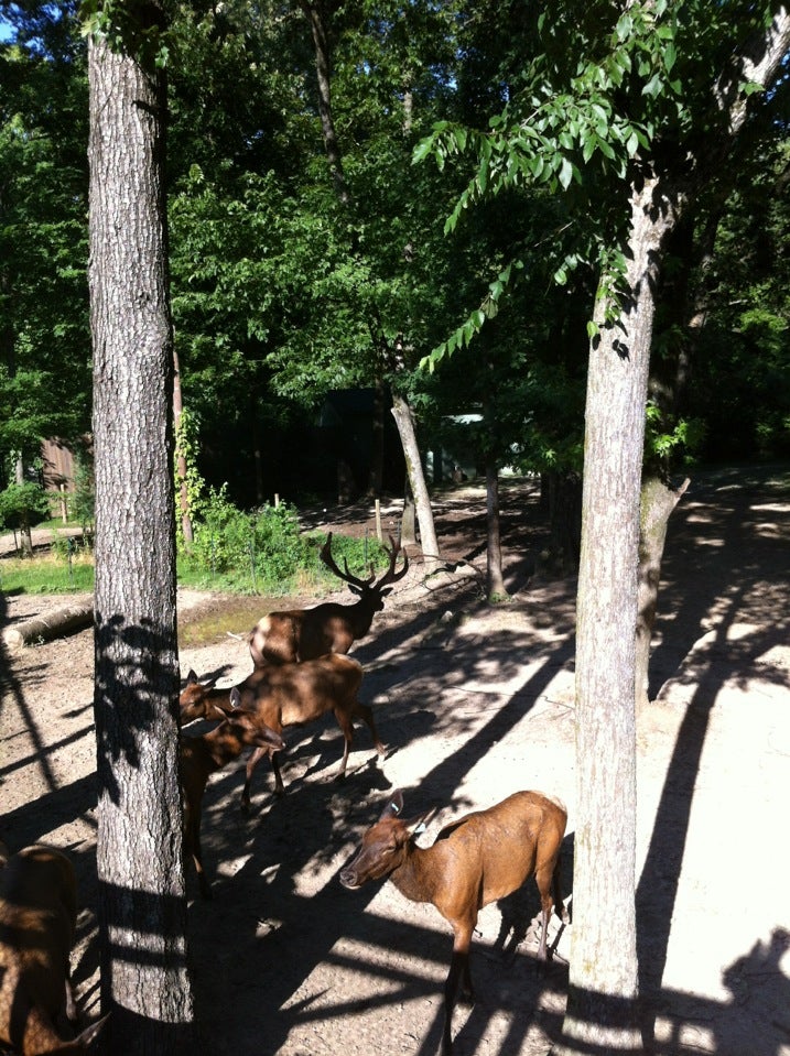 Memphis Zoo Teton Trek, Memphis, TN - MapQuest