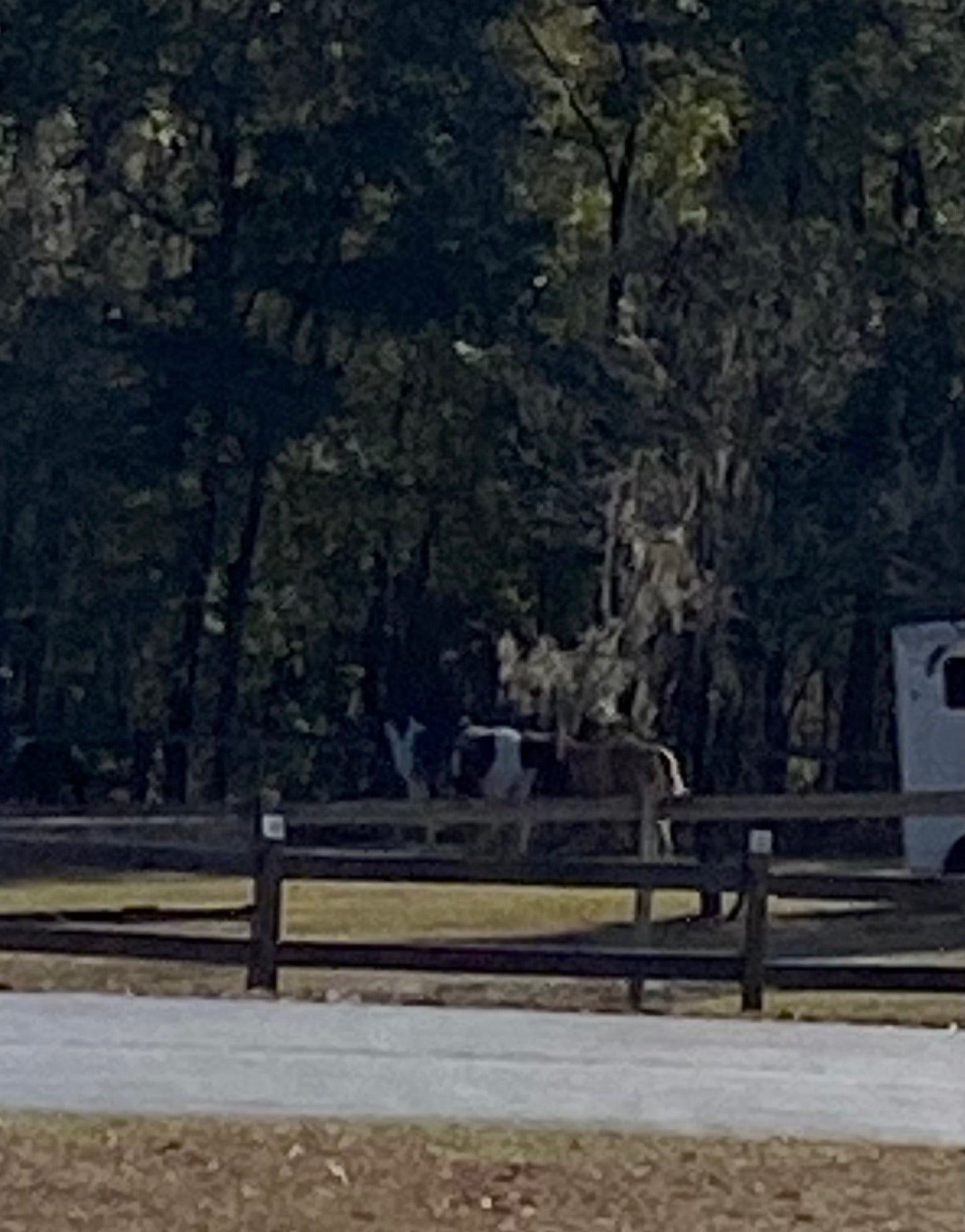 Ross Prairie Trailhead, 10660 SW Hwy 200, Dunnellon, FL, Campgrounds ...