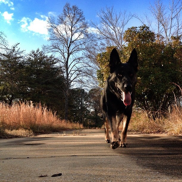Pelham Range, Gate 3 Rd, Anniston, AL - MapQuest