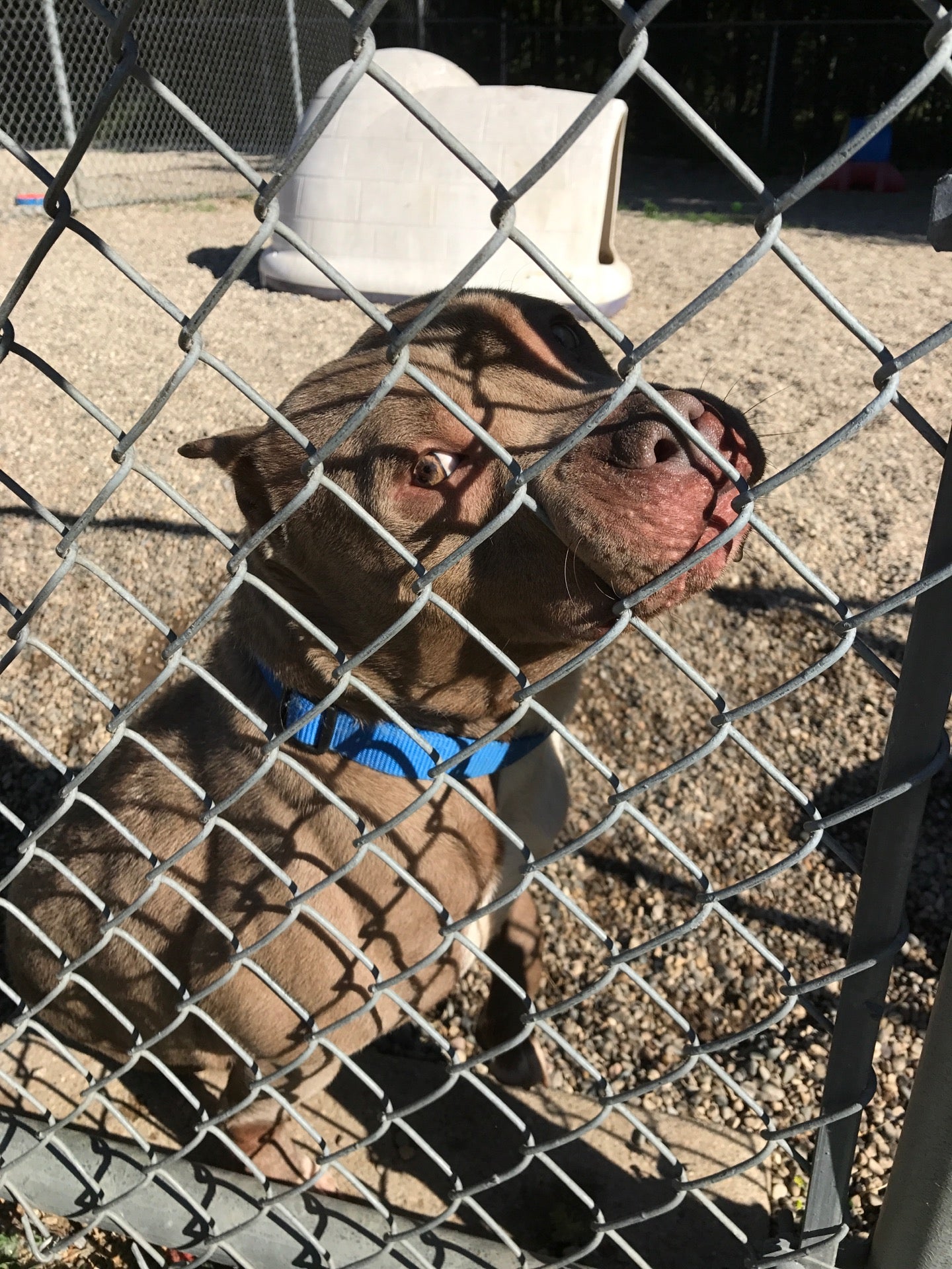 Harbor Humane Society, 14345 Bagley St, West Olive, MI - MapQuest