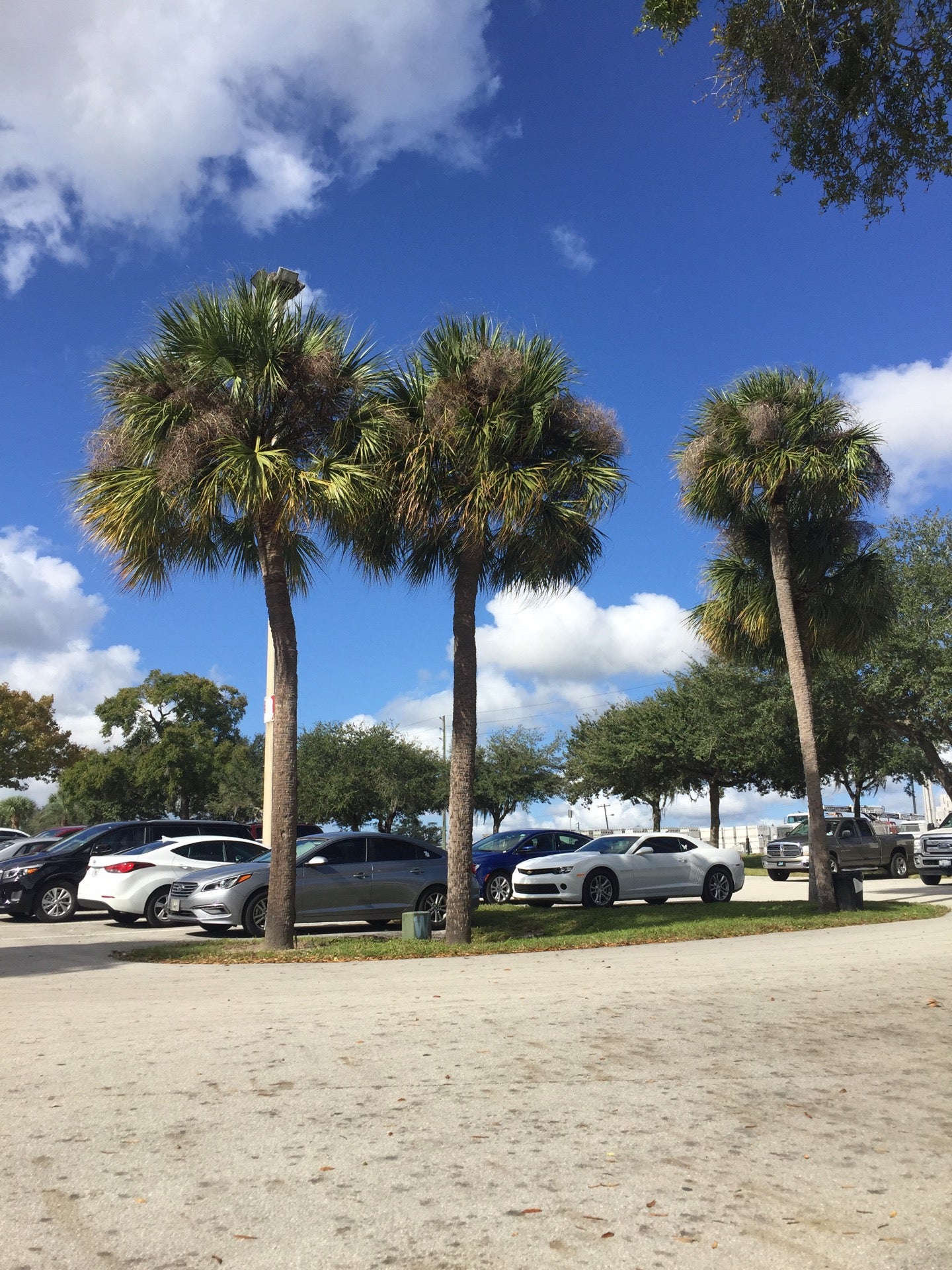 Lake Hunter, Lakeland, FL, Lake - MapQuest