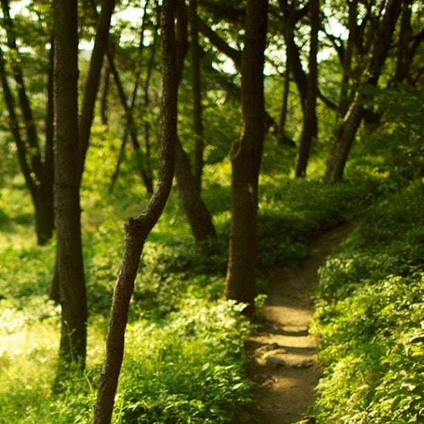 North Lima, OH Map & Directions - MapQuest