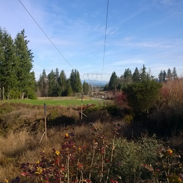 Central Park To Grand Ridge Plaza Trail, NE Laurel Ct, Issaquah, WA ...