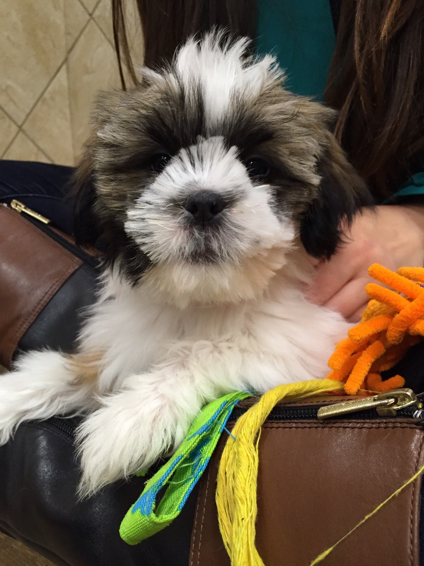 Silver Spring, MD Map & Directions - MapQuest