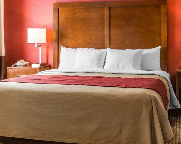 Comfort Inn Boston, 900 Morrissey Blvd, Boston, Massachusetts, Hotels ...