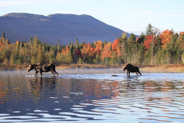 Abbot, ME Map & Directions - MapQuest