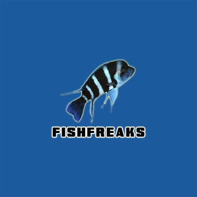 Fish Freaks, 2502 South 133rd Plaza, STE 101, Omaha, NE, Entertainment ...