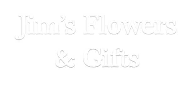 Virginia Mn Mapquest