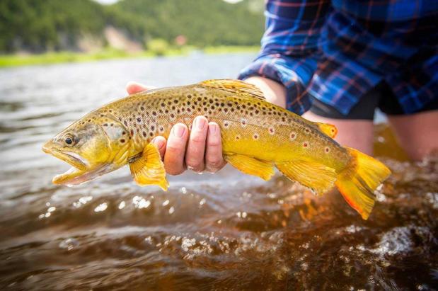 Emigrant, MT Map & Directions - MapQuest