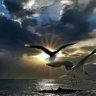 Herman, MN Map & Directions - MapQuest