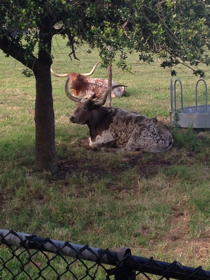 NASA Longhorn Project, Houston, TX - MapQuest