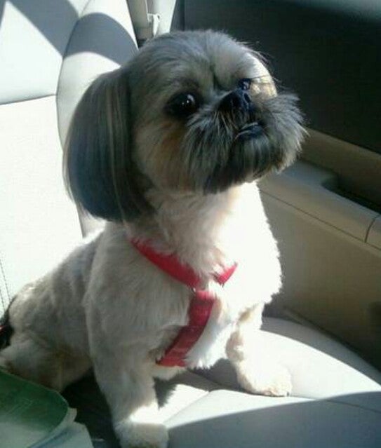 Grimes Alabama, Napier Field Rd, Dothan, AL - MapQuest