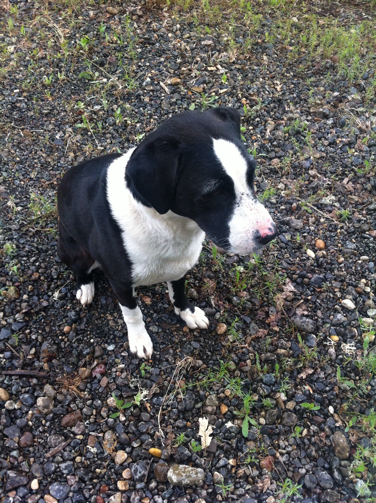 Lyle, WA Map & Directions - MapQuest