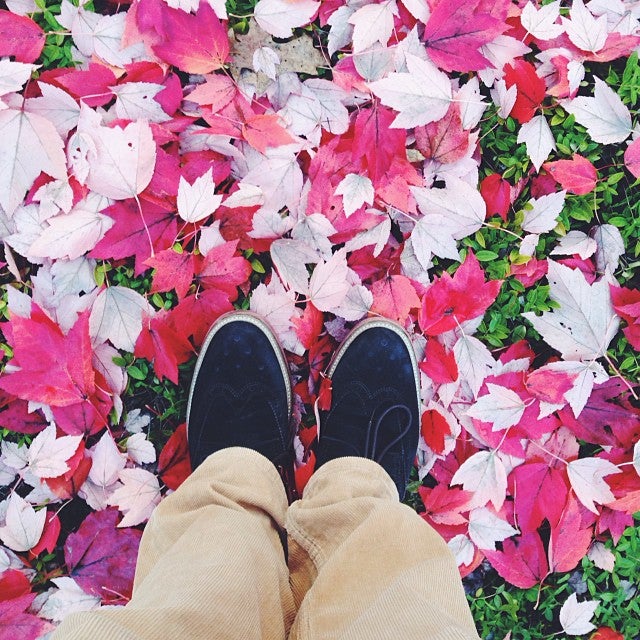 Microsoft Corporation, 1 Microsoft Way, Redmond, WA, Software ...