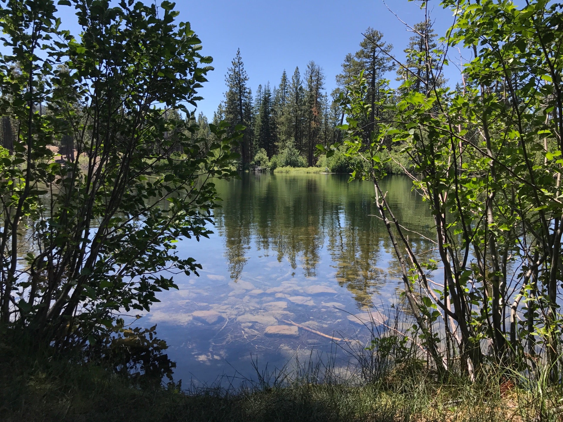 Manzanita Lake, Shingletown, CA, Lake - MapQuest
