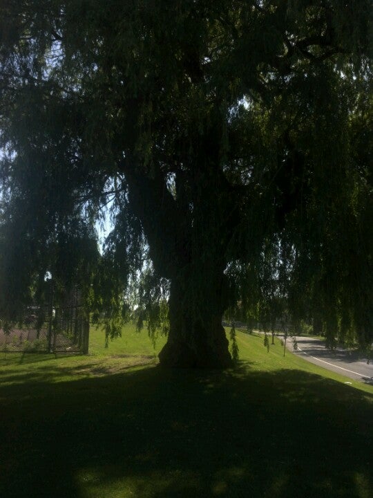 Solvay, NY Map & Directions - MapQuest