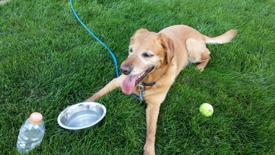 Huntley, IL Map & Directions - MapQuest