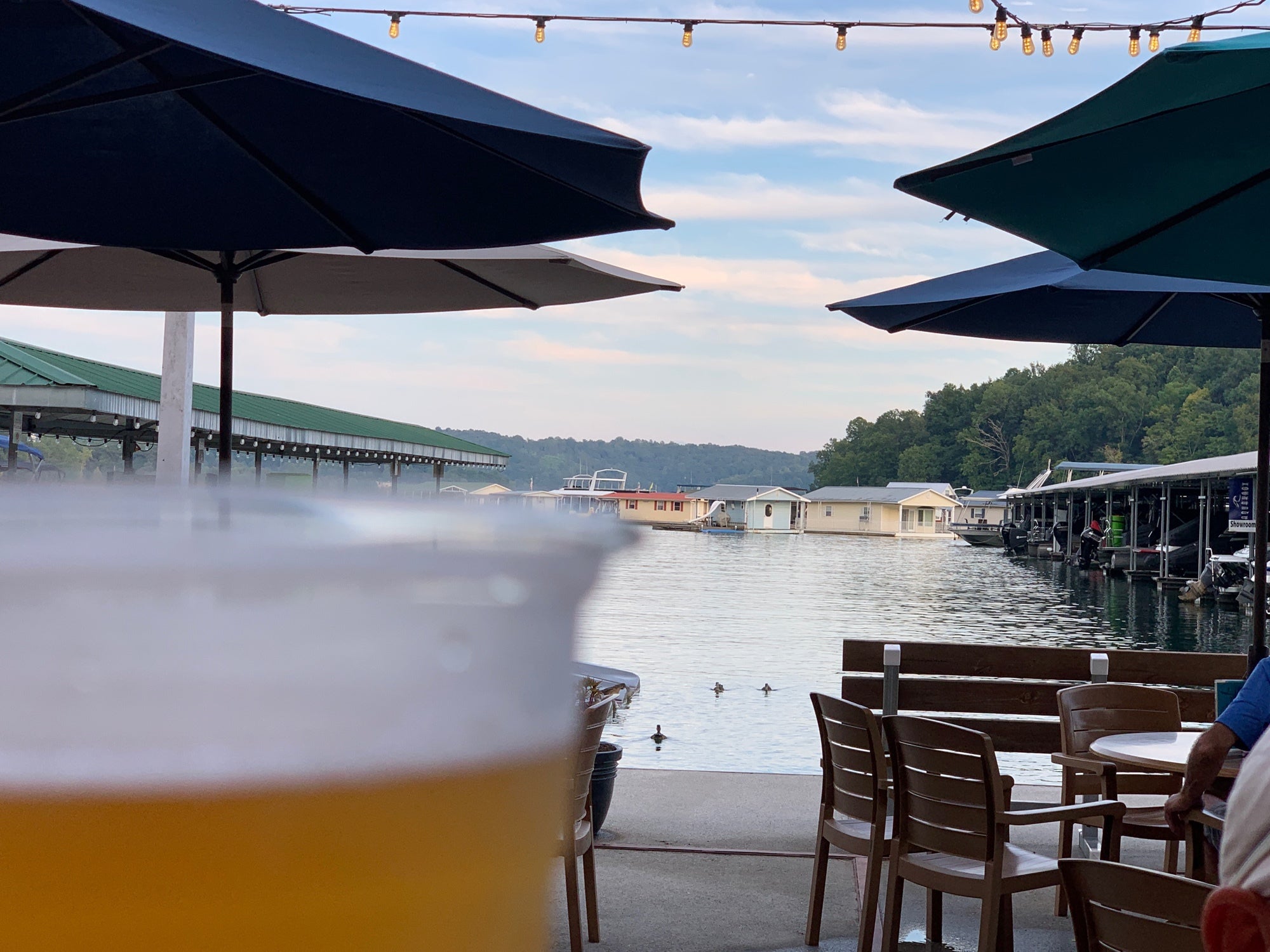 Speedwell, TN Map & Directions - MapQuest