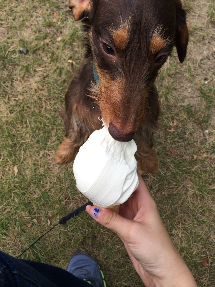 Delta, OH Map & Directions - MapQuest