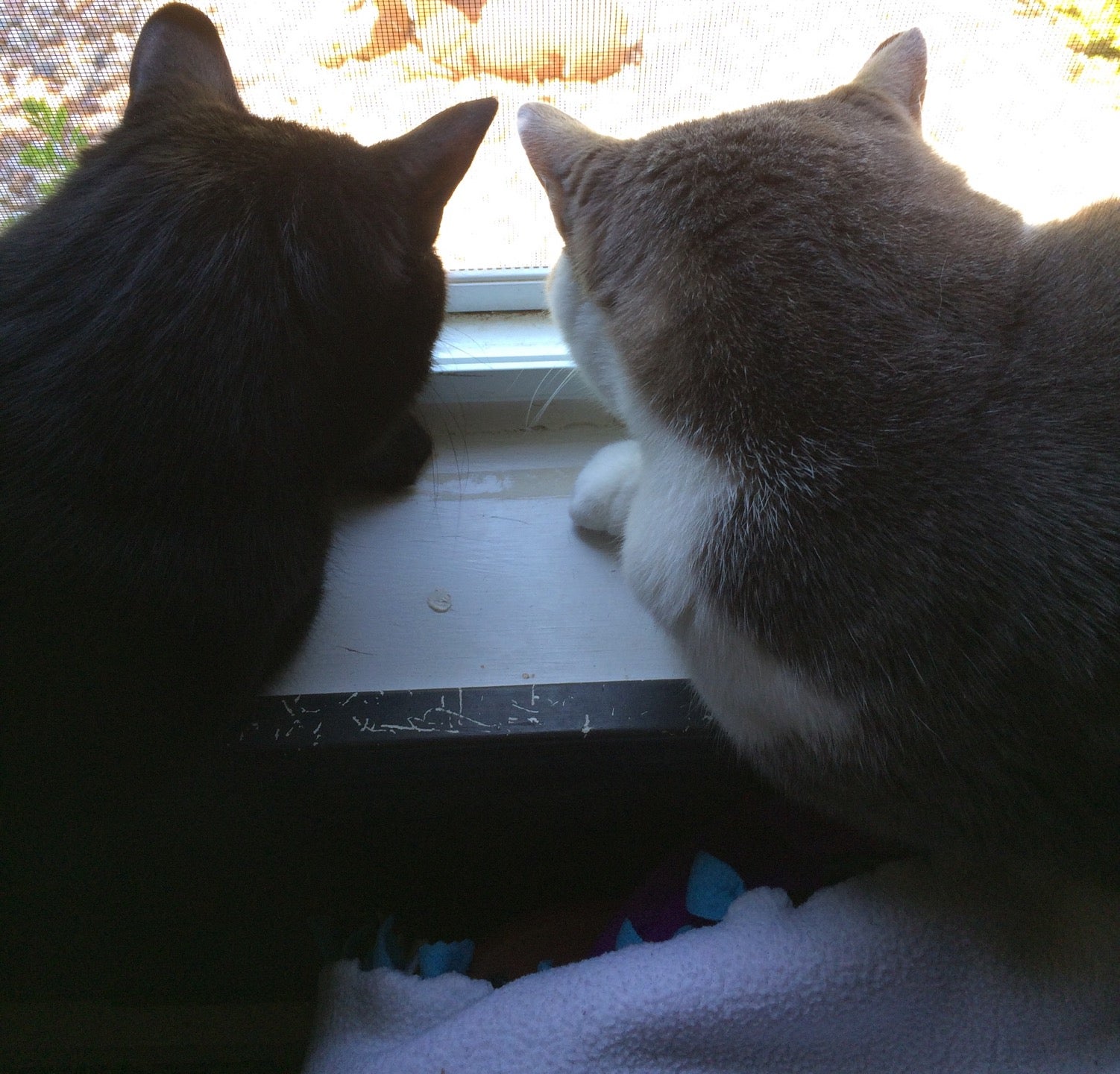 Menards, 1901 Plover Rd, Plover, Village of, WI, Hardware Stores - MapQuest