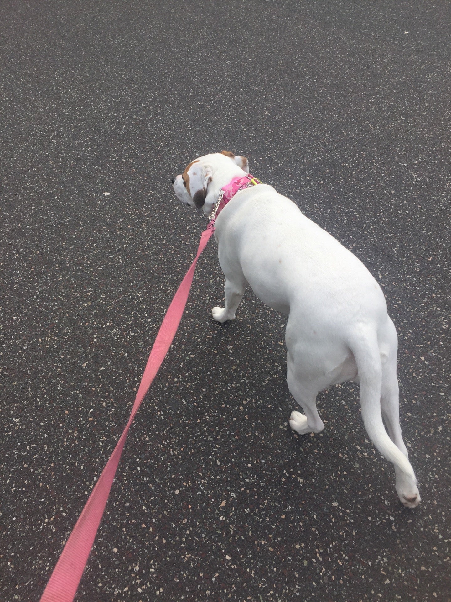 Blue Bell, PA Map & Directions - MapQuest