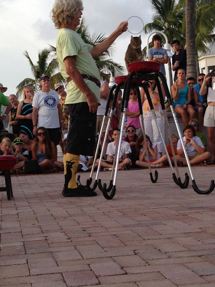 Catman Cat Show, 271 Front St, Key West, FL, Music Entertainment - MapQuest