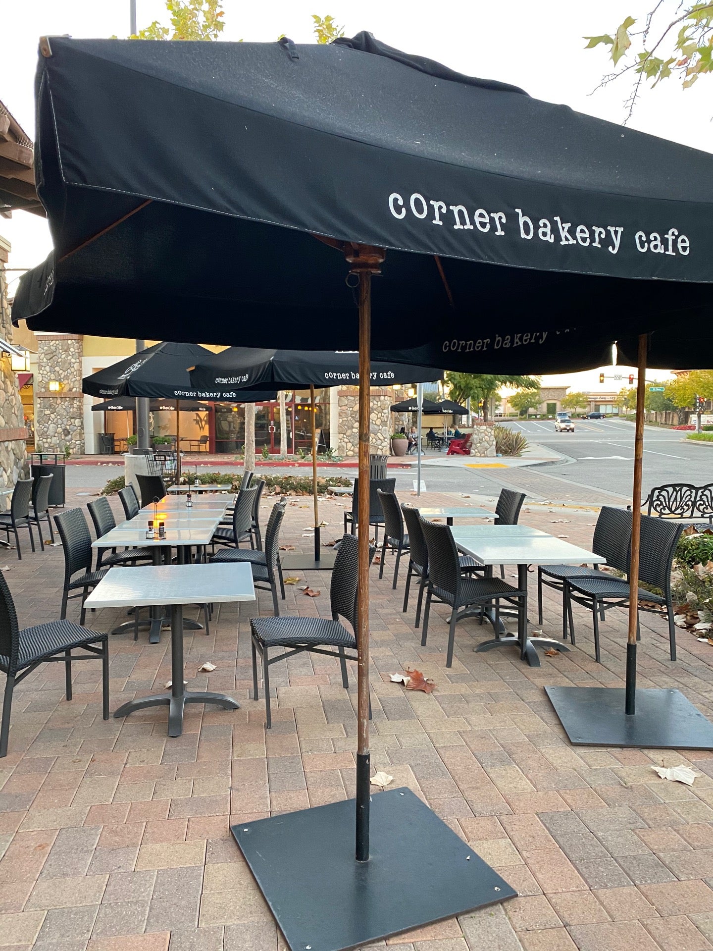 Are Dogs Allowed At Corner Bakery Outside Seating